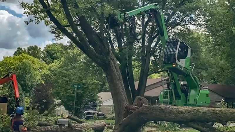 Tree Removal Using Sennebogen 718 | Bluestone Tree