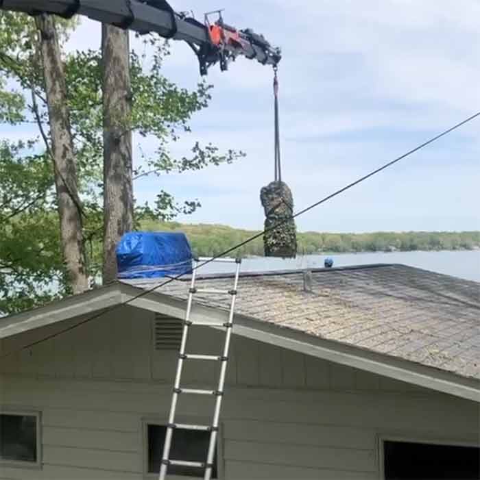 Large Tree Removal Over House & Wires | Bluestone Tree