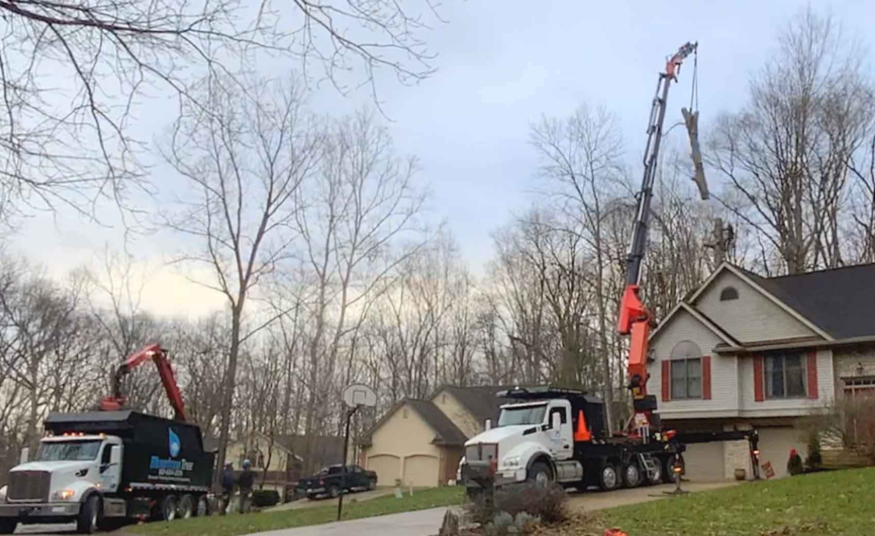 Watch Tree Removal Time-Lapse Video by Bluestone Tree