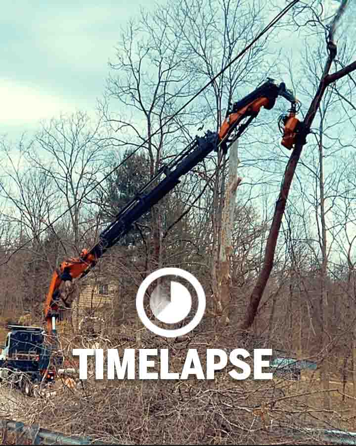 Multiple Trees Removed from County Road Bridge [VIDEO SHORT ...